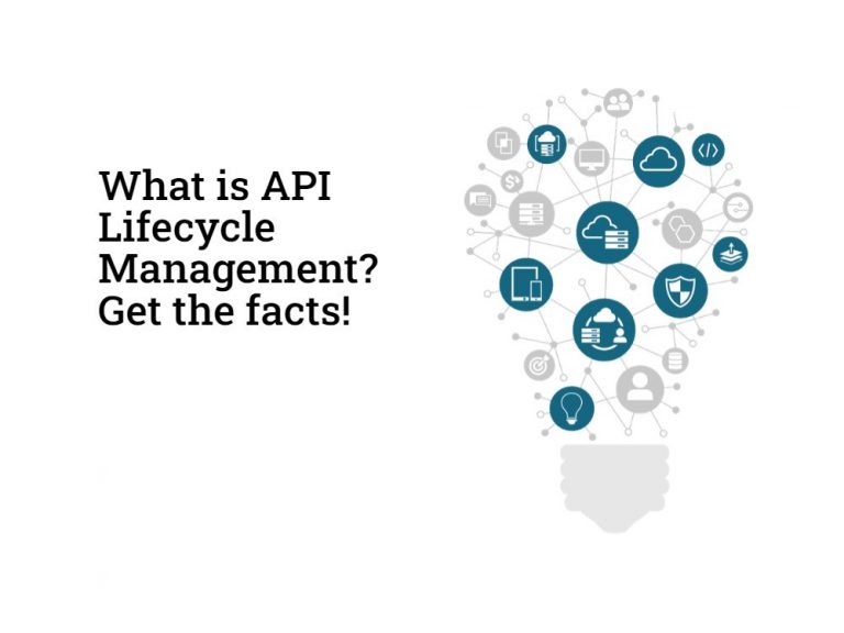 What is API Lifecycle Management? Create, Control, Consume